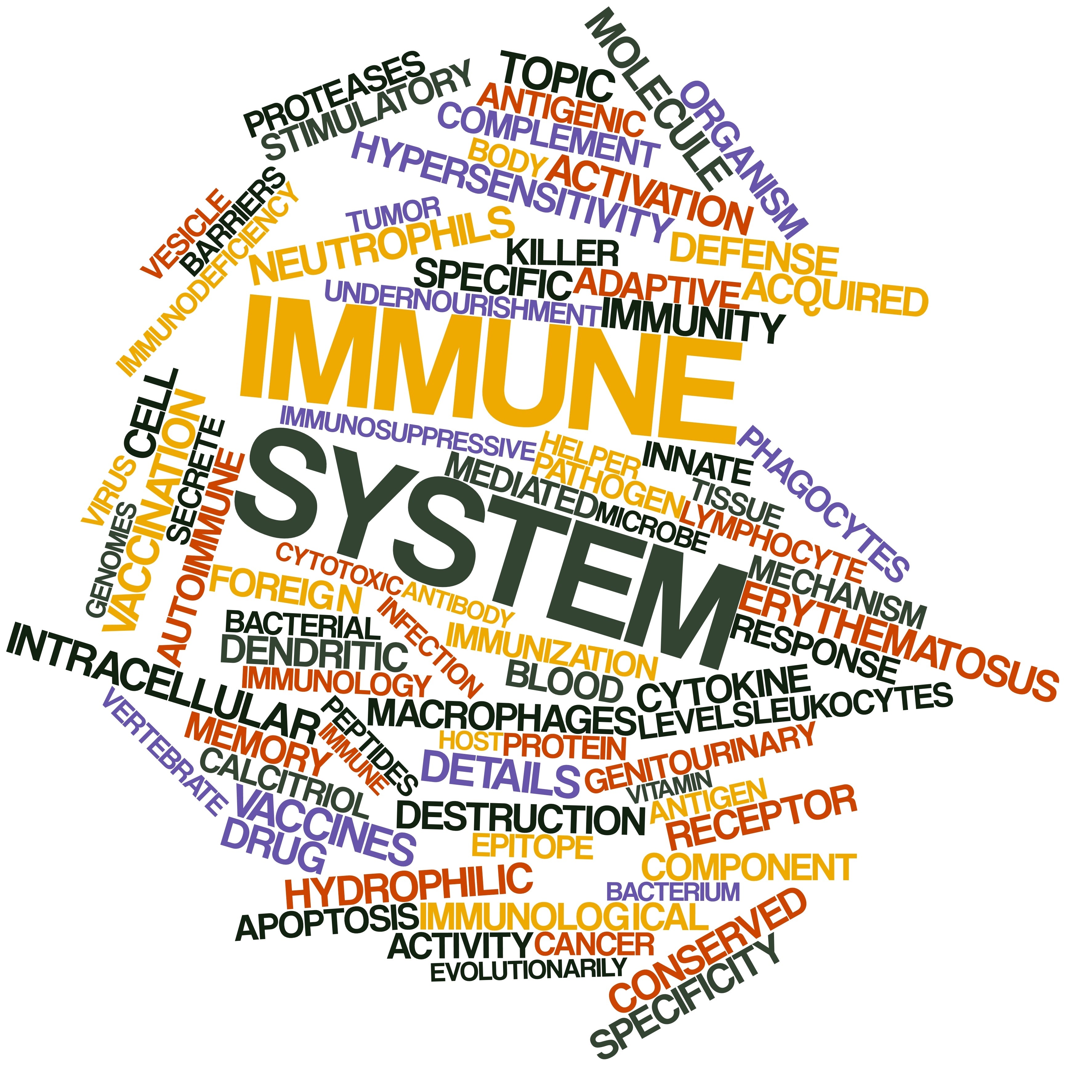 Systemic Formulas Collection - SMS – Revelation Health LLC